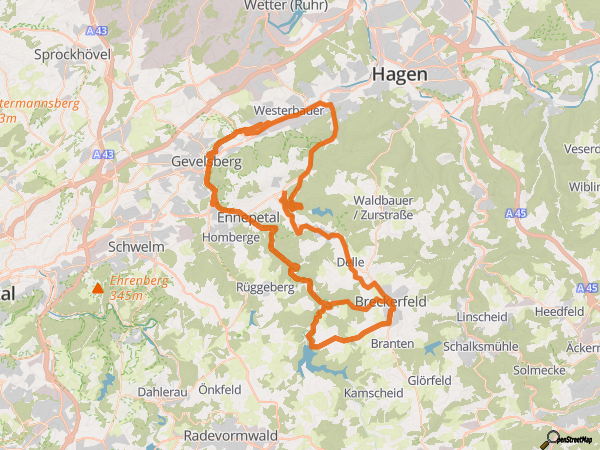 Naviki – ENnepe-Runde